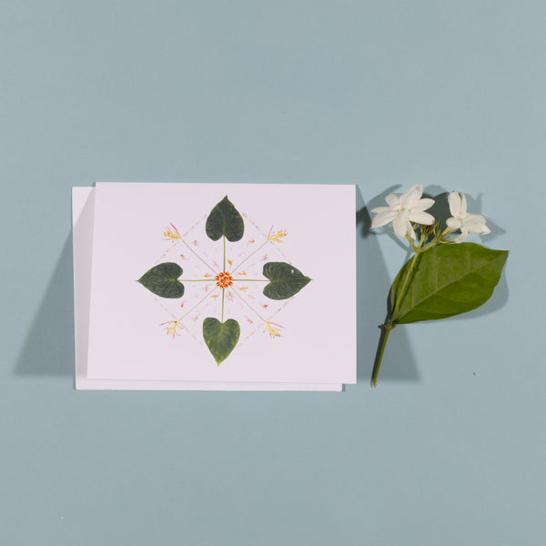 Shell Ginger - Single Note Card - Lola Pilar Hawaii