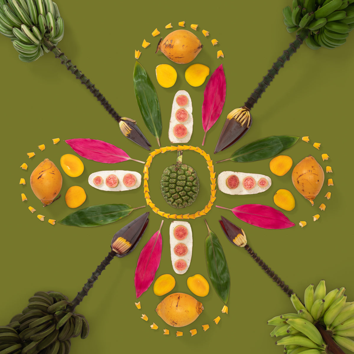 Fruits of Labor - Oct. 22 Collection - Lola Pilar Hawaii